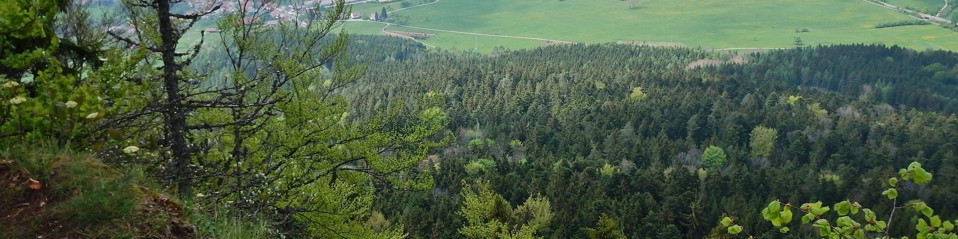 Ausblick vom Albtraufgängerweg beim Hörnle 956 m ü. NN