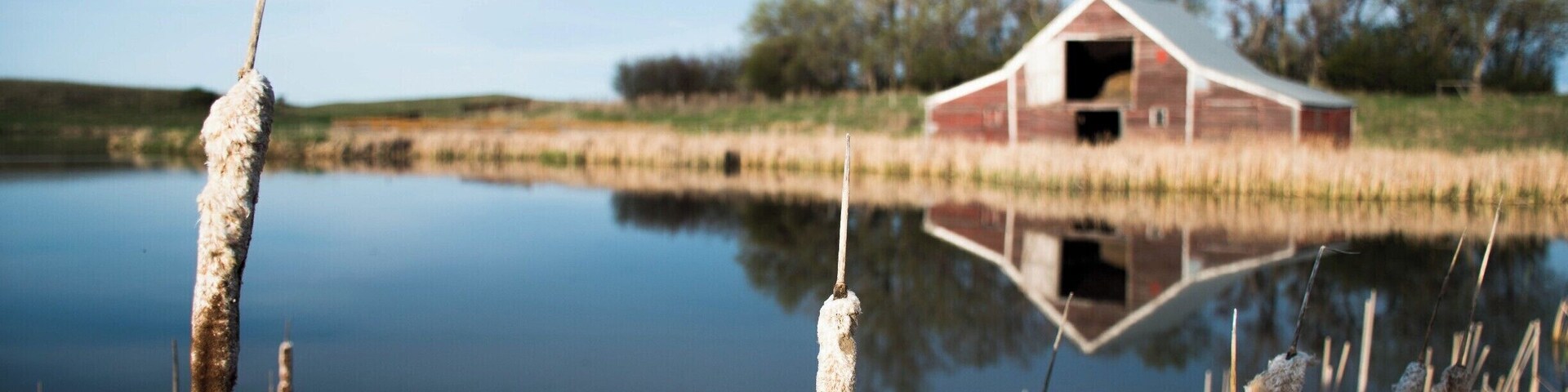 Abandoned Barn near Ashley, ND