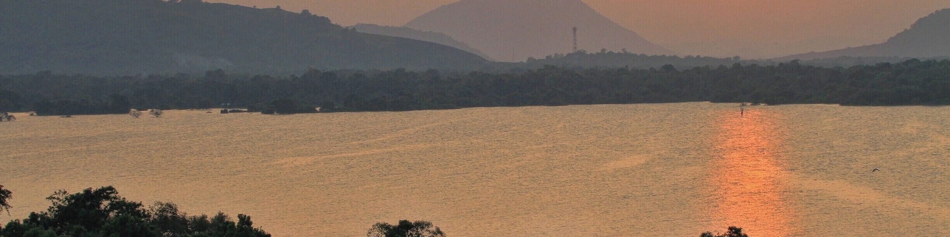 Monkeys looking at the sunset at Heritance Kandalama,