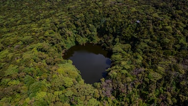 Um lago em formato de coração, cercado por floresta densa.