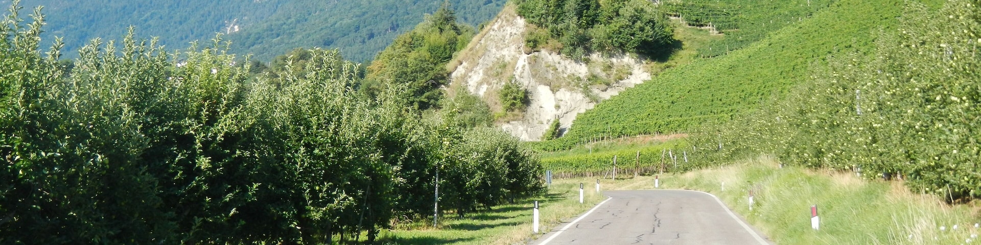 Südtiroler Weinstraße, Via Riva di Sotto