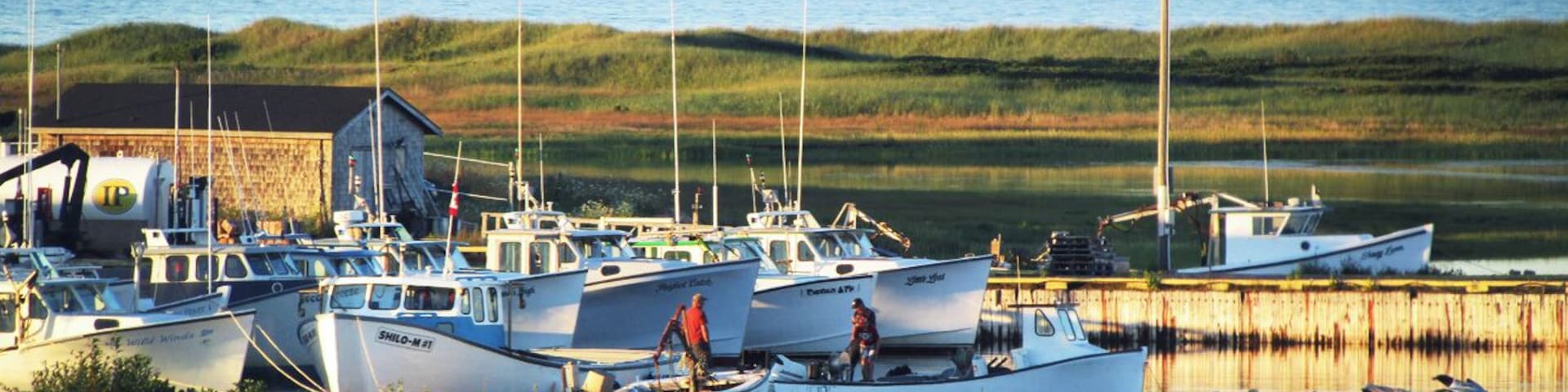 Fishing boats docked at Savage Harbour, the Gulf of St. Lawrence in the background.