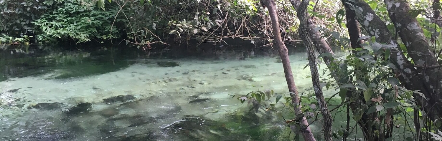 Rio Triste, located in Nobres - Mato Grosso, Brazil