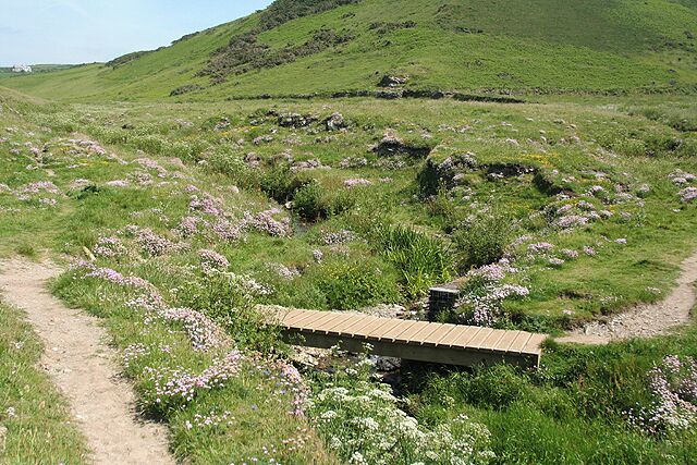 Uma trilha de terra, uma ponte de madeira e uma colina gramada com flores silvestres.