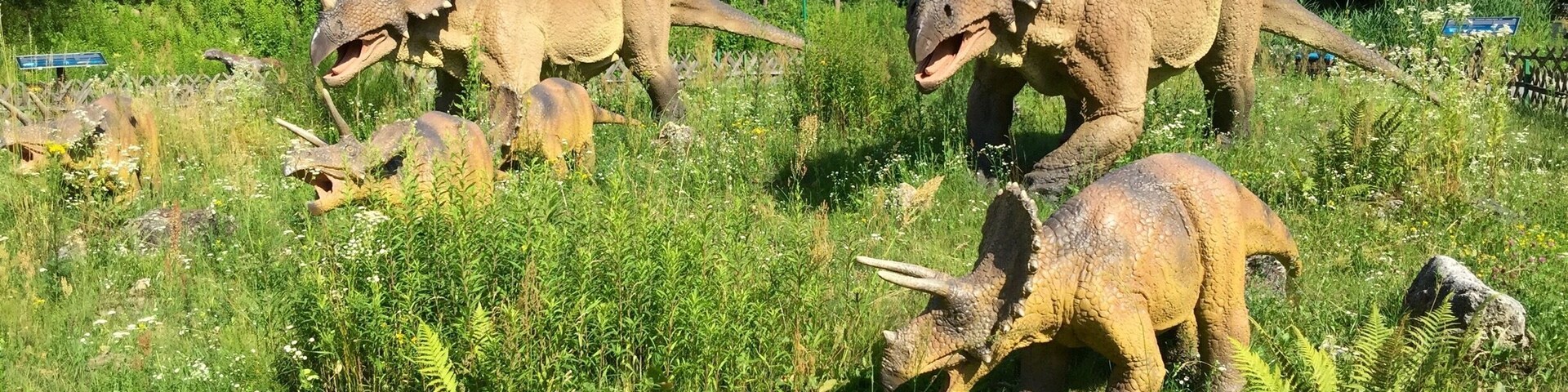 We found some dinosaurs as well 😊