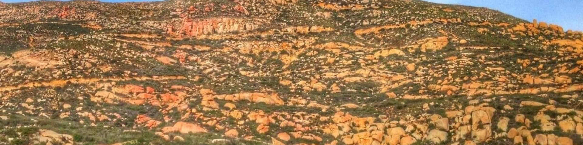 Tecate Peak, literally