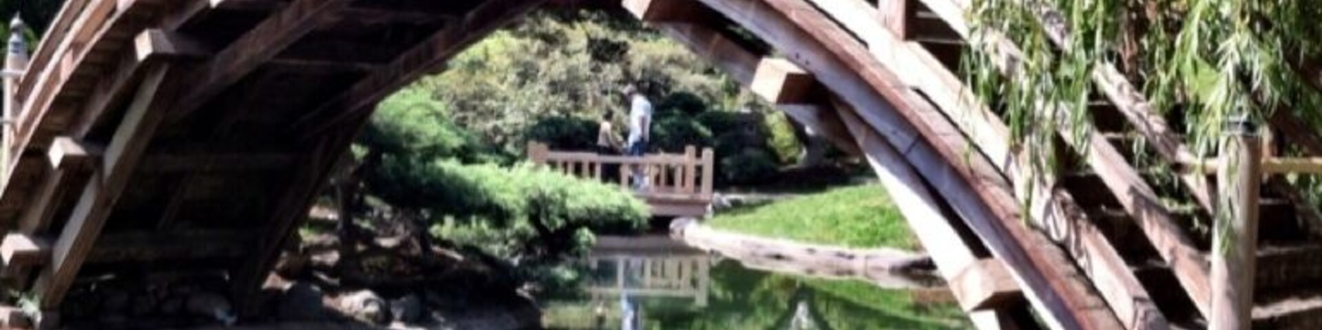 Foot bridge in Japanese garden