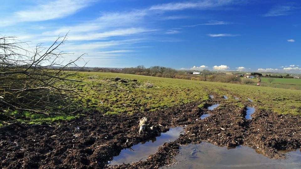 Muddy gateway above the Kenson valley - Llancadle