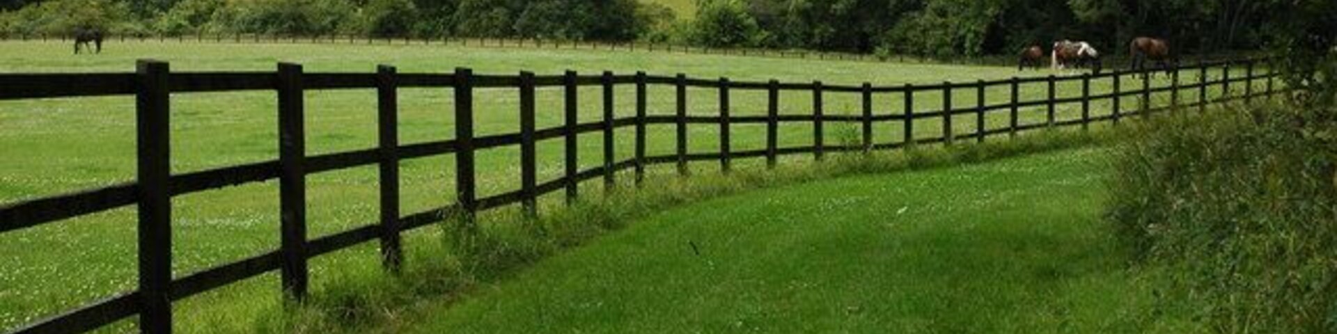 Yanworth viewed from the south-east The Cotswold village of Yanworth viewed from a footpath to the south-east.