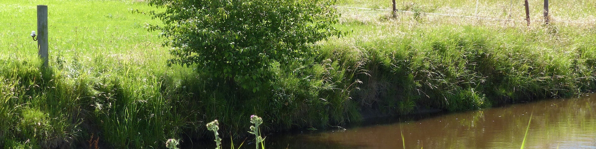 Bauernhaus an der Ollen
