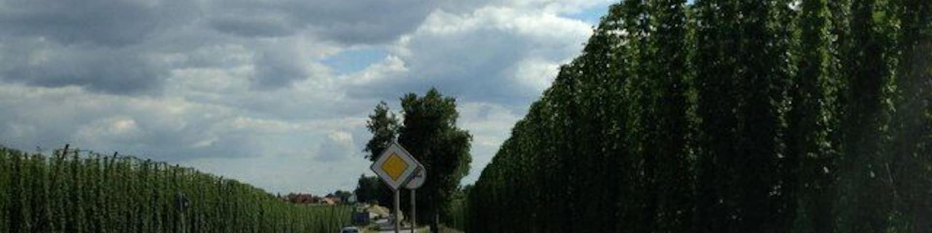 Die B301 im Hopfenanbaugebiet bei Etzenbach