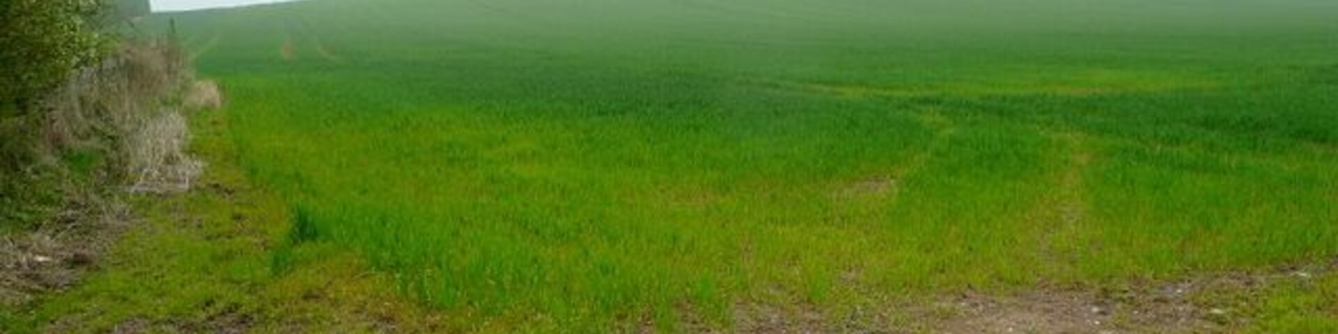 Misty hill Looking north towards Appleby Hill, near Austrey.