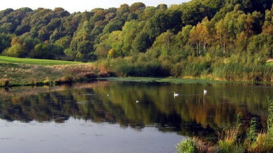 Derwenthaugh Park, Winlaton Mill. The site of the former Derwenthaugh Coke Works, now a particularly beautiful part of the Derwent Walk