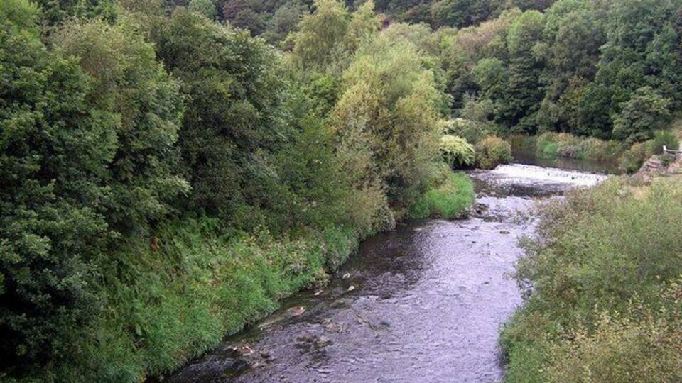 River from bridge Taken while out Geocaching, lovely park for a walk.
