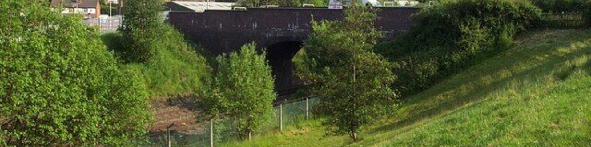 Uma ponte sobre um rio, rodeada por vegetação e árvores.