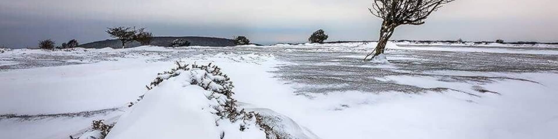 Views at Crowcombe Park Gate on the Quantock Hills