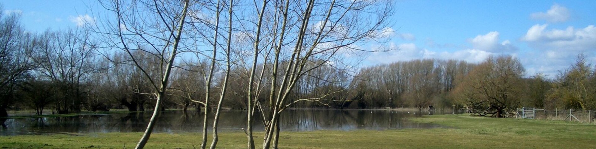 Partly flooded pasture just west of Stadhampton, Oxfordshire