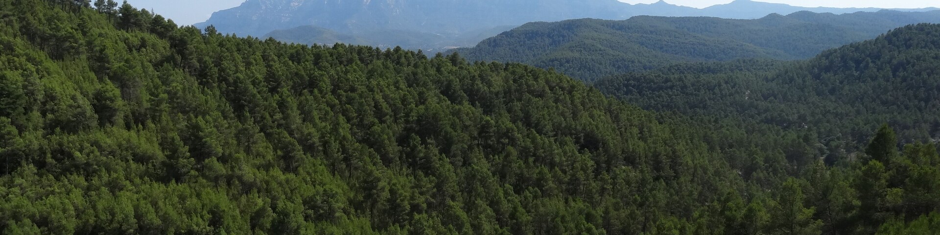 Montserrat des de Castellgalí (juliol 2012)