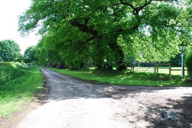 Uma estrada rural com uma grande árvore à esquerda e uma cerca à direita.