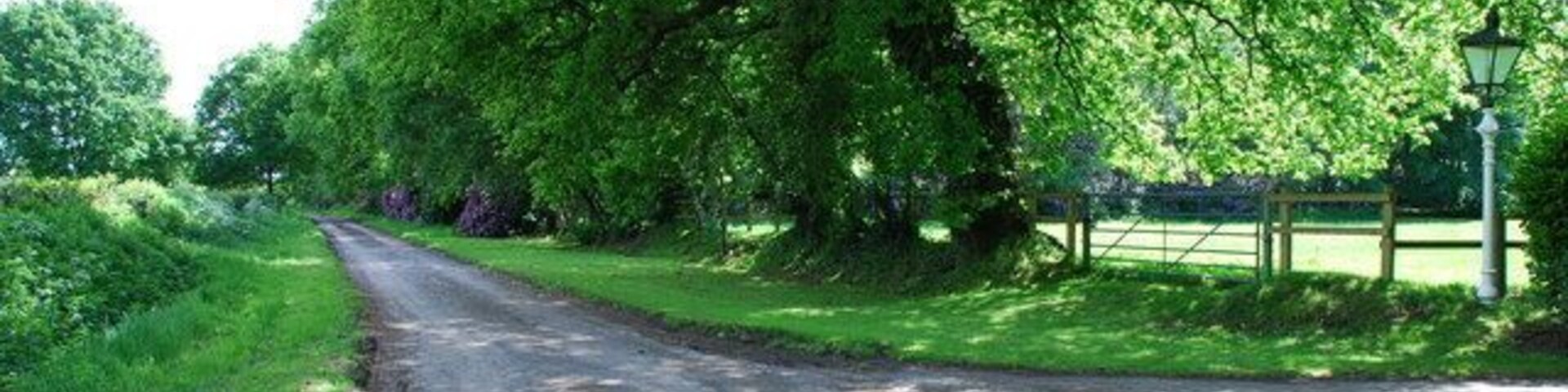 Uma estrada rural com uma grande árvore à esquerda e uma cerca à direita.
