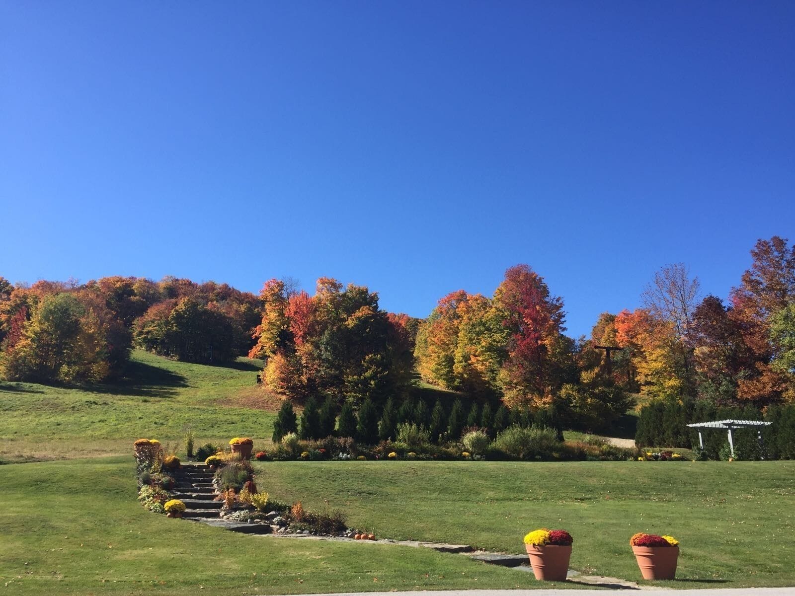 Um jardim bem cuidado com um caminho de pedra, folhagem vibrante de outono e um céu azul claro.