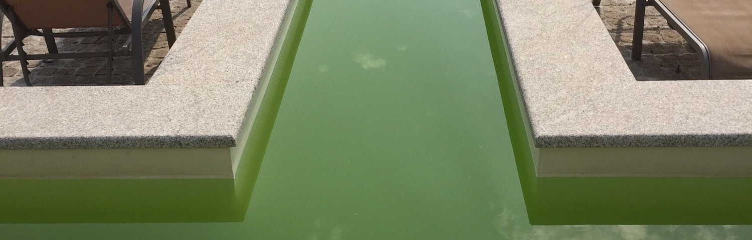 Unique wine and port vineyard in the Douro Valley