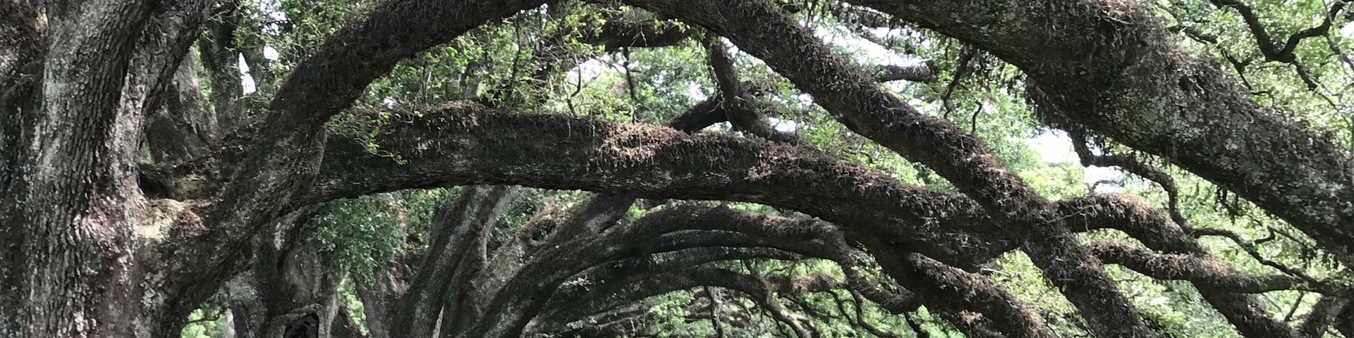 Don’t give up. Today’s mighty oak is just yesterday’s but that held its ground #adventure