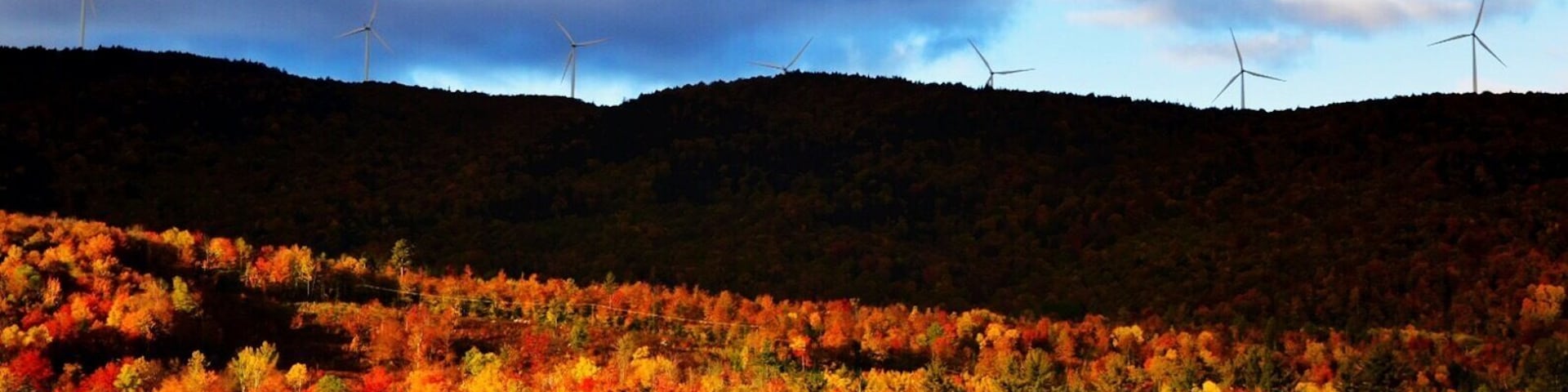Record Hill Wind Project and foliage.