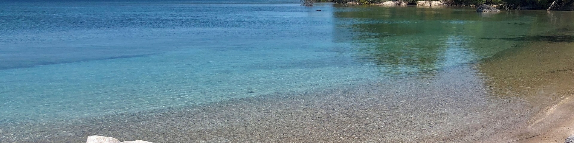 Uma praia arejada com pedras visíveis e uma área arborizada ao fundo.