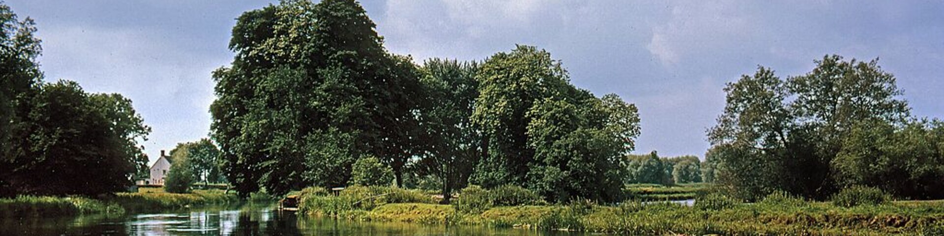 The Avon from Ibsley Bridge