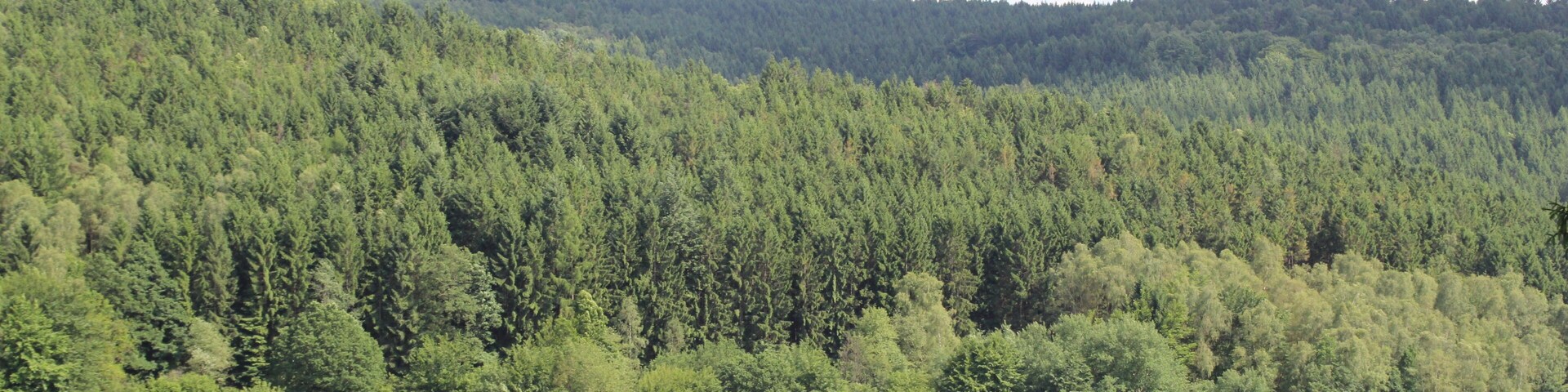 Der Heiligenküppel (Gipfelbereich in der Bildmitte)