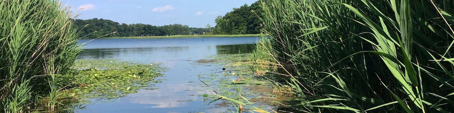 Finding hidden little kayak trails on the way to my happy place! #lovemytown #kayak