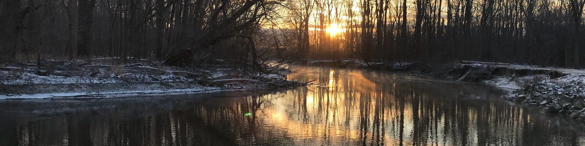 Paradise doesn’t mean tropical