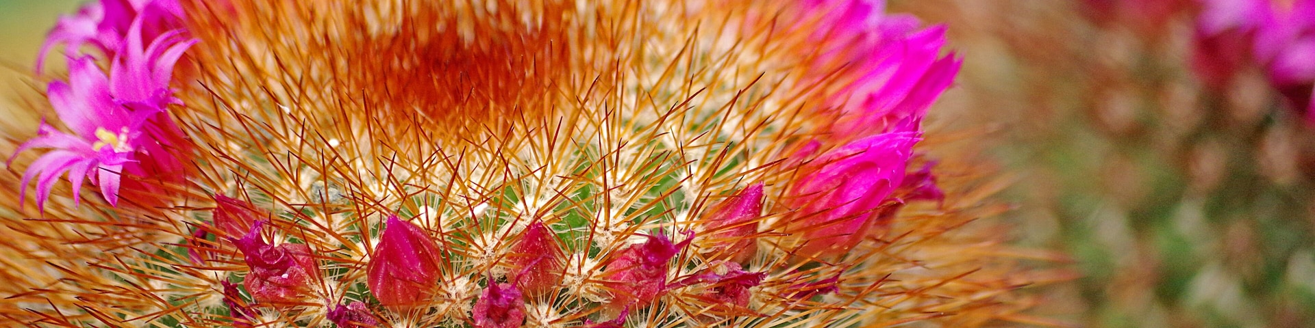 A beautiful botanical garden. Worth a visit if in the area.