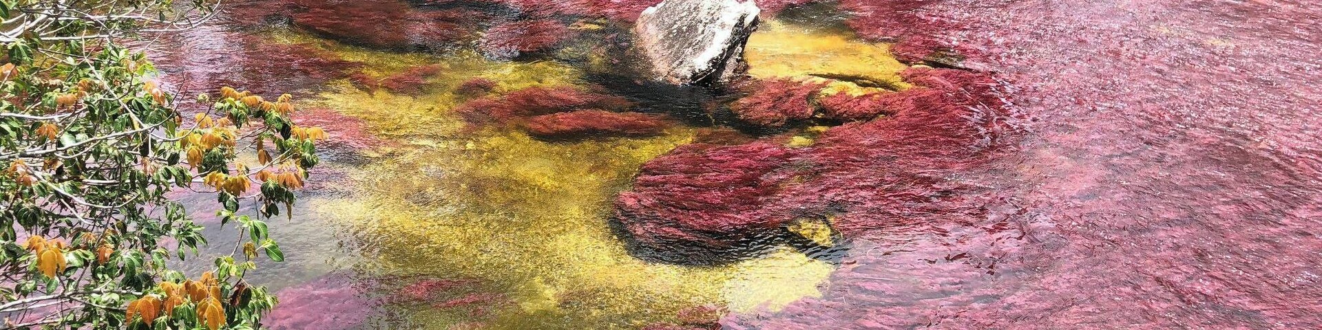 Probably the most beautiful river in the world