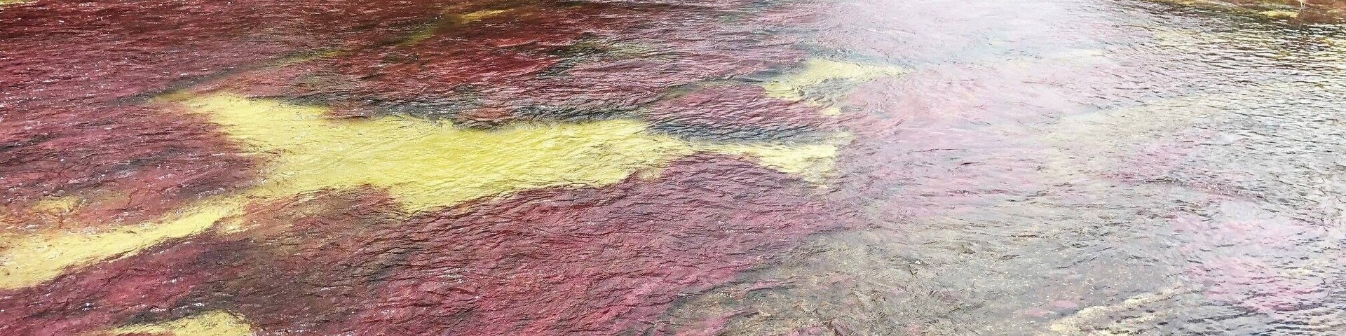 This place is called "Carpet". The most beautiful thing was sitting by the river for 10 minutes and watched how the colors change based on the sunlight.