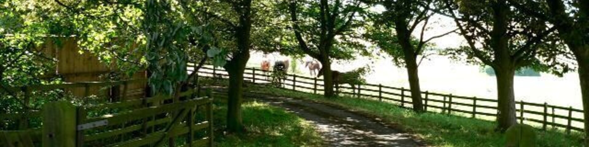 Welcome Shade. The entrance to Wheatclose House, a racing establishment on the Bulmer road