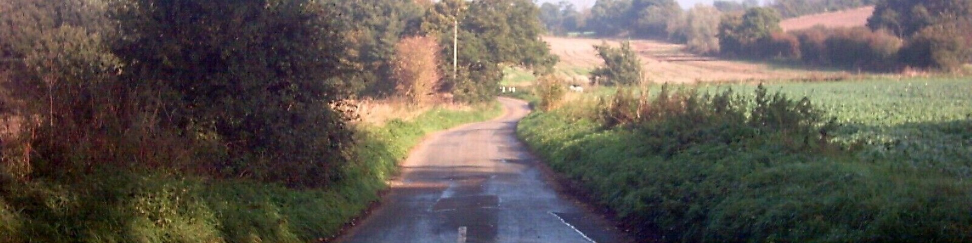 Looking along The Causeway
