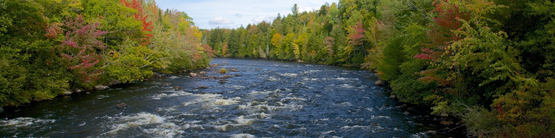 New Hampshire which includes forests and a river or creek