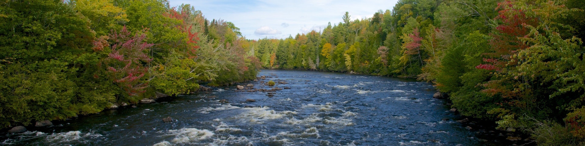 New Hampshire mostrando um rio ou córrego e cenas de floresta