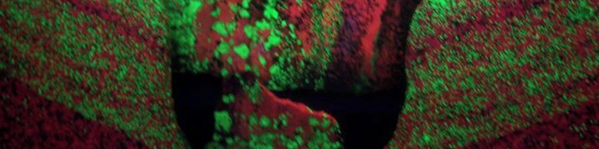 Learn about fluorescence at Sterling Hill Mining Museum