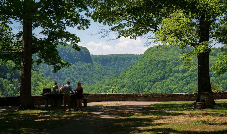 Um grupo de pessoas numa mesa de piquenique com vista para um vale verdejante, com um muro de pedra e árvores.