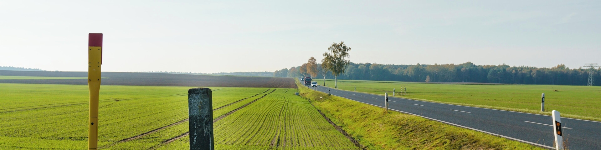 Wegestein mit Höhenmarke an der S 177, Abzweig nach Bärwalde, in Radeburg