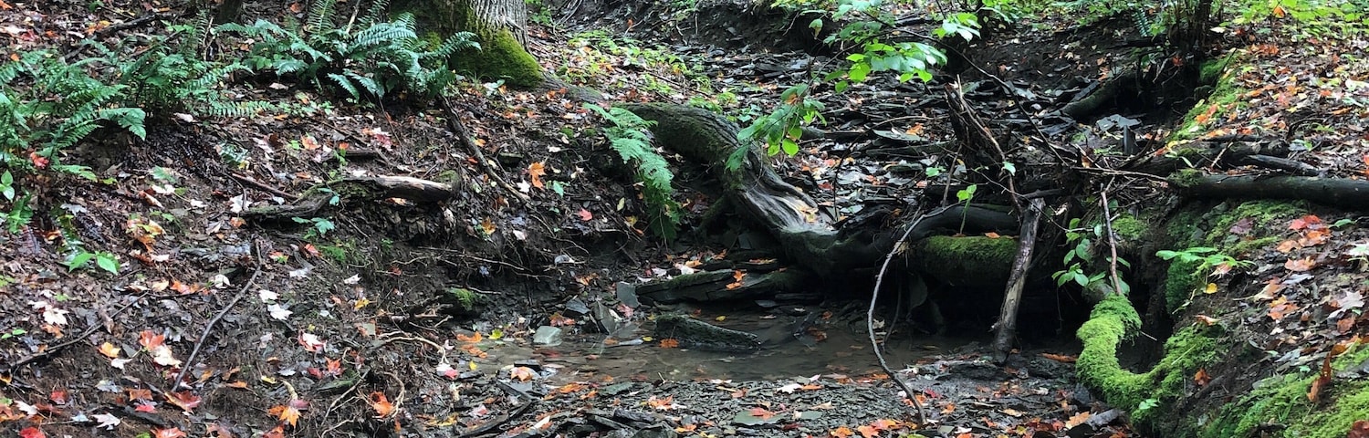 September in Western New York #adventure