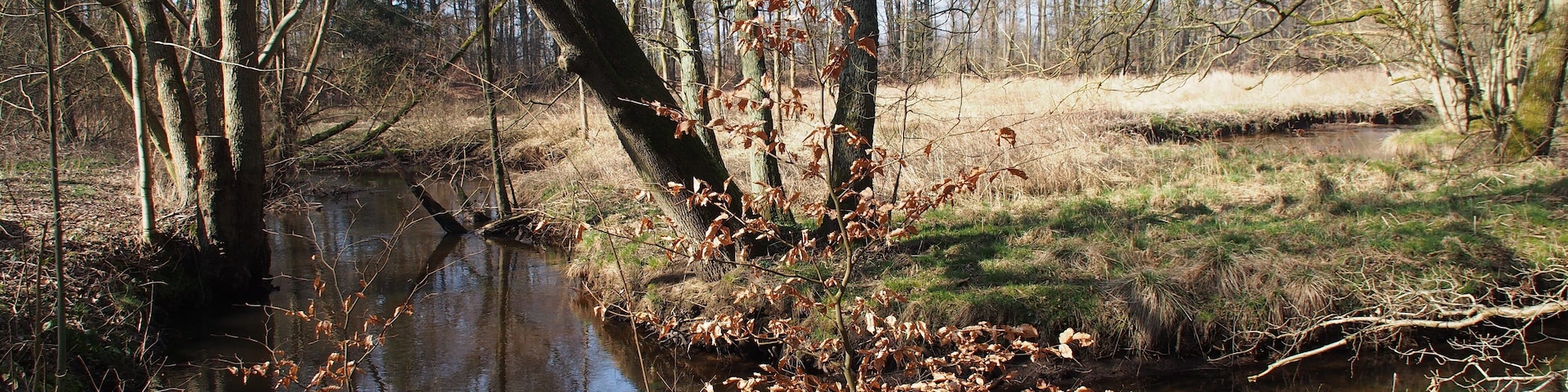 Lutter bei Jarnsen, Gemeinde Lachendorf (Jarnser Himmelreich)