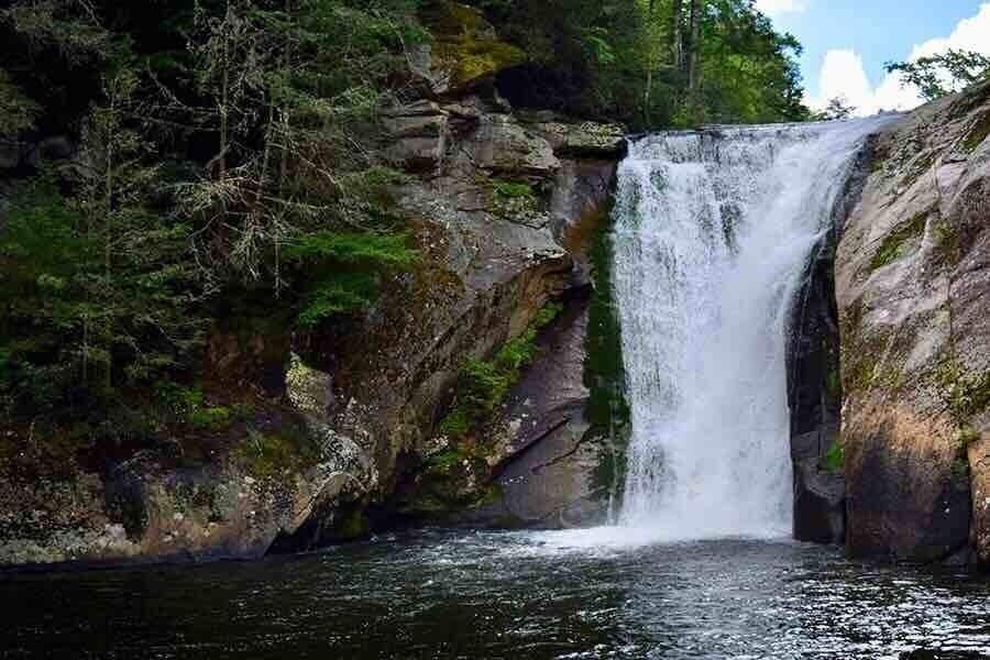 Uma cascata despencando por um penhasco rochoso, cercada por uma floresta densa.