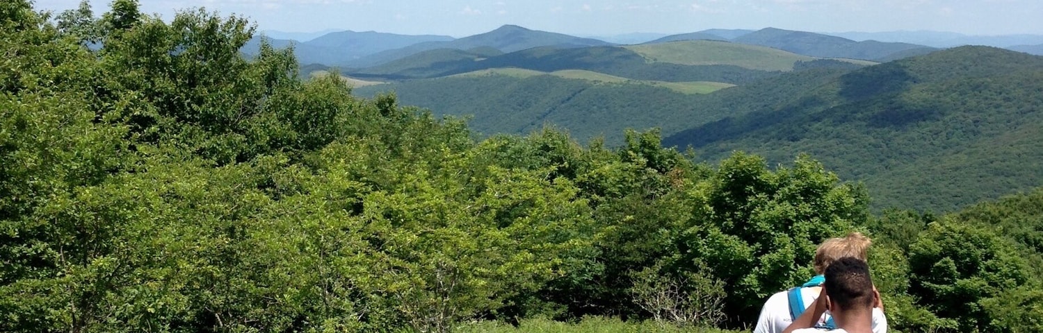 Touching untouched land at Snake Mountain which cuts through Zionville, NC, highlights the beauty of the land that Appalachia stands for. The beauty of the Appalachian Mountains is apparent as my friends and I risk encountering dangerous animals and steep hills as we hike through untamed, flourished plants. Weeding through the hectic trees we encountered an even deeper meaning of untouched land as we came across cows and horses grazing in the land. The beauty of Snake Mountain is apparent as human trails are highlighted with slight indentations in the grass and burnt fire pits that are inhabited by the local animals. The pure lack of industrialization is a welcoming feature and trait of Appalachia that people of the region love and embrace. #appalachianechoes