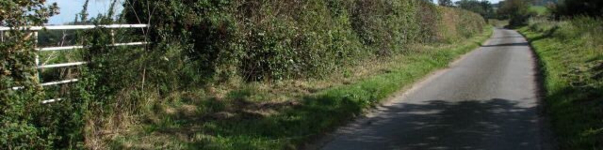 Uma estrada rural estreita ladeada por sebes e um cercado branco.