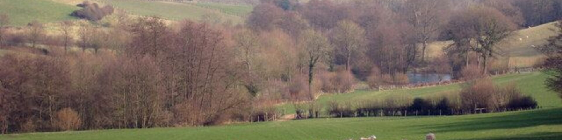 Valley from Highfields Farm. Looking back towards Tidebrook, and 1214994