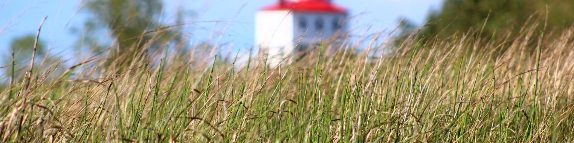 A stroll to the lighthouse